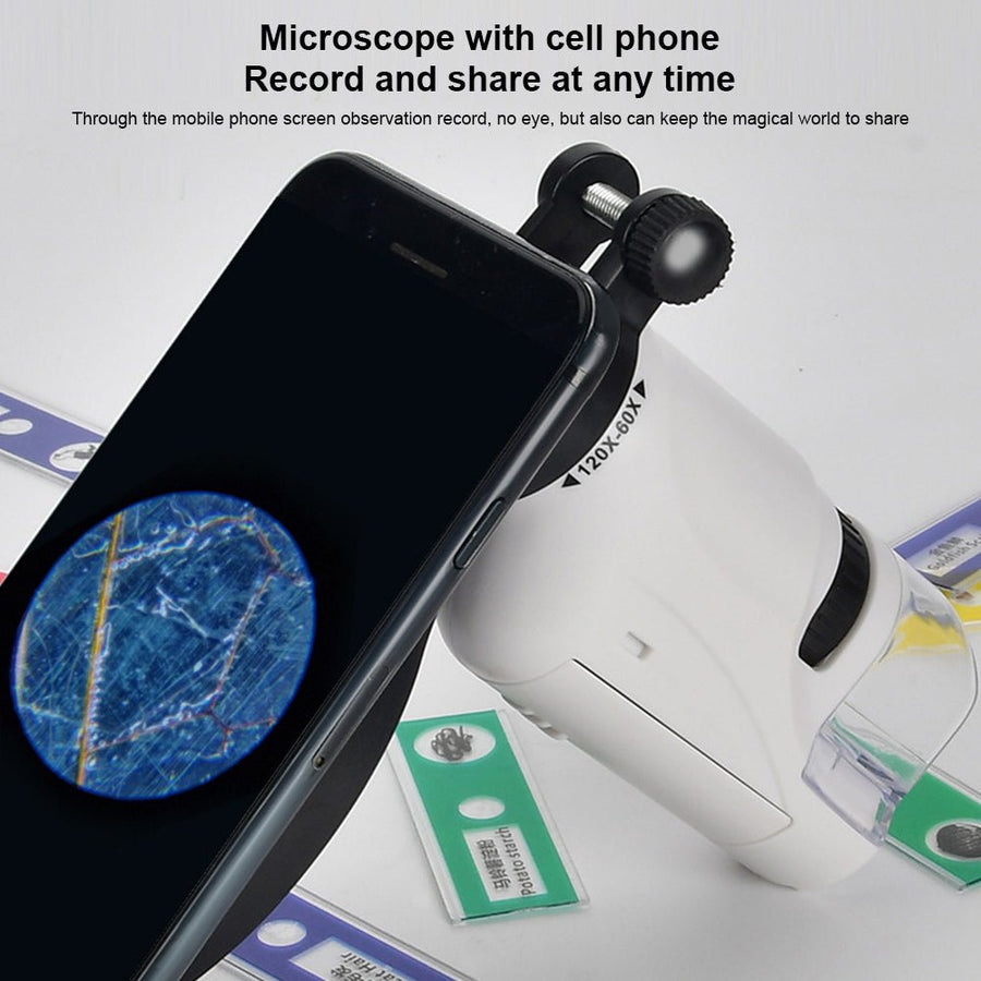 Agnes Portable Pocket Microscope – Skaldo & Malin